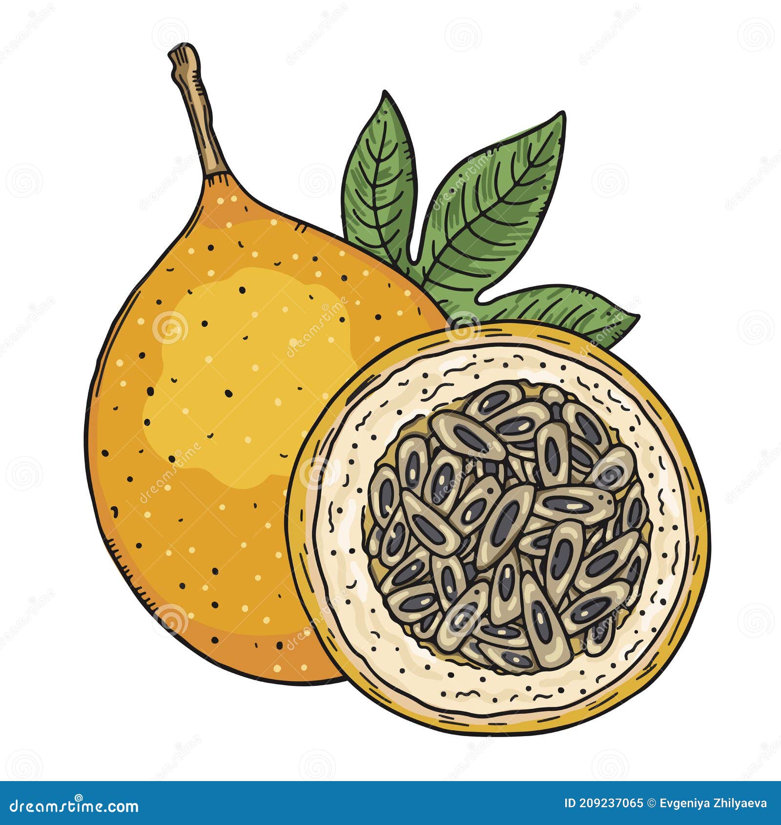 Composition of a Whole Orange Granadilla Fruit and a Half Cut of Fruit ...