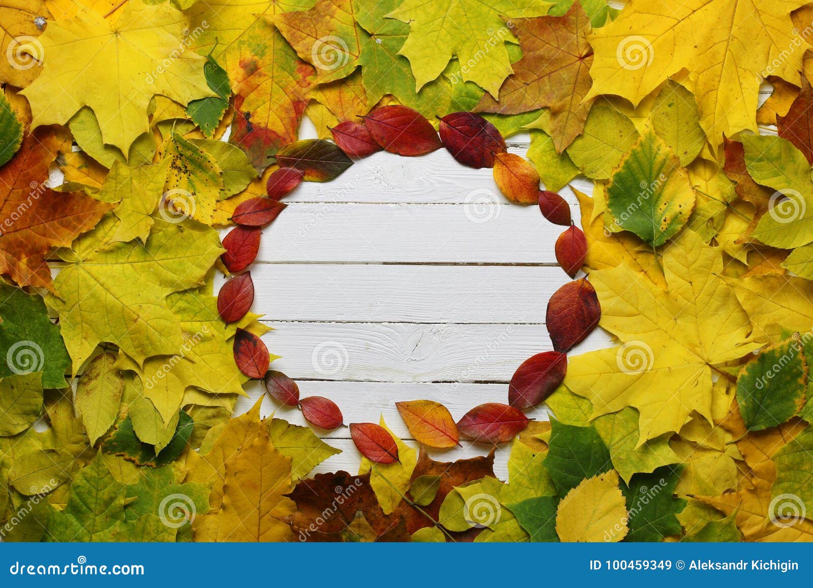 Autumn Leaves Background Shape Round Stock Image - Image of fall, plant ...