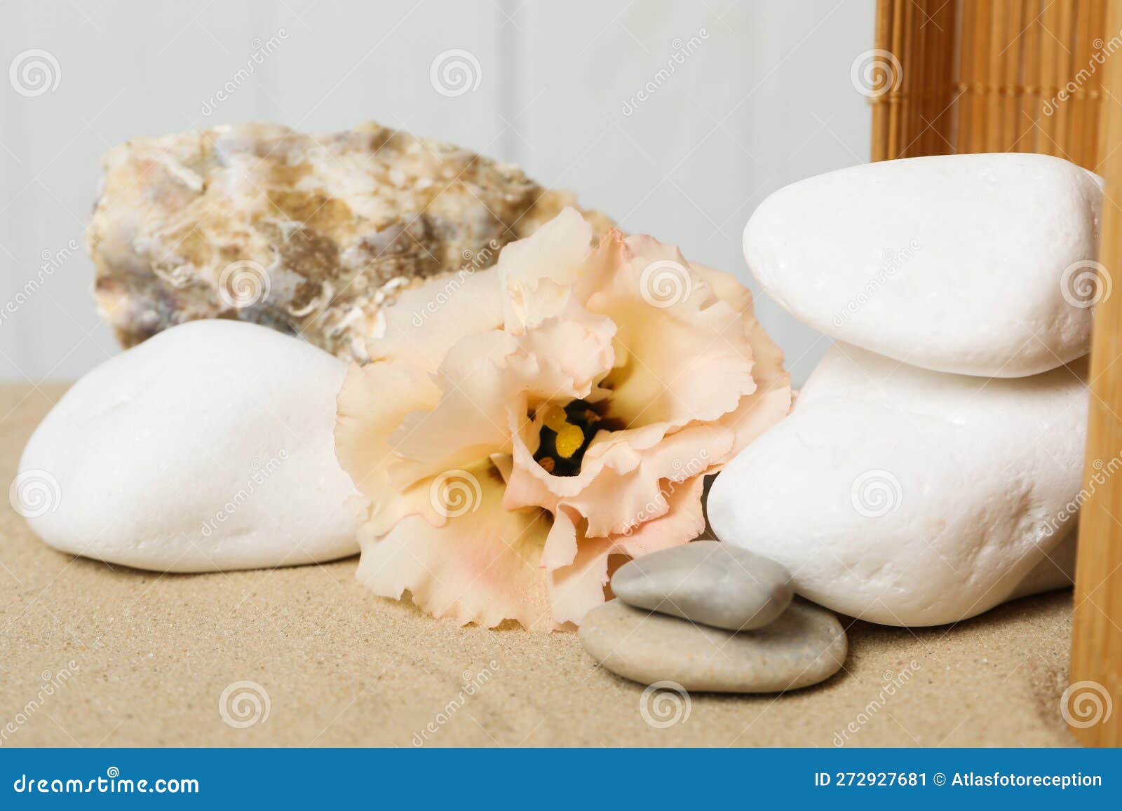 Composition for Zen, Relaxation, Harmony and Balance Concept Stock ...