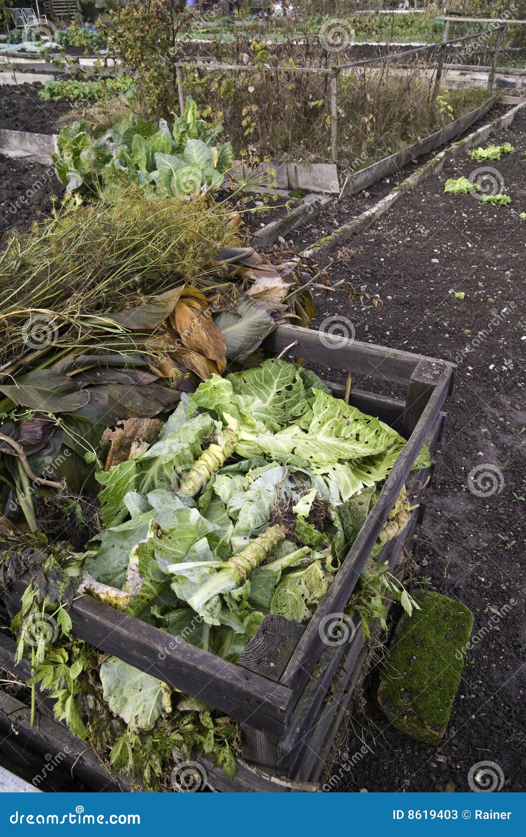 Compost stock image. Image of garden, compost, gardening - 8619403