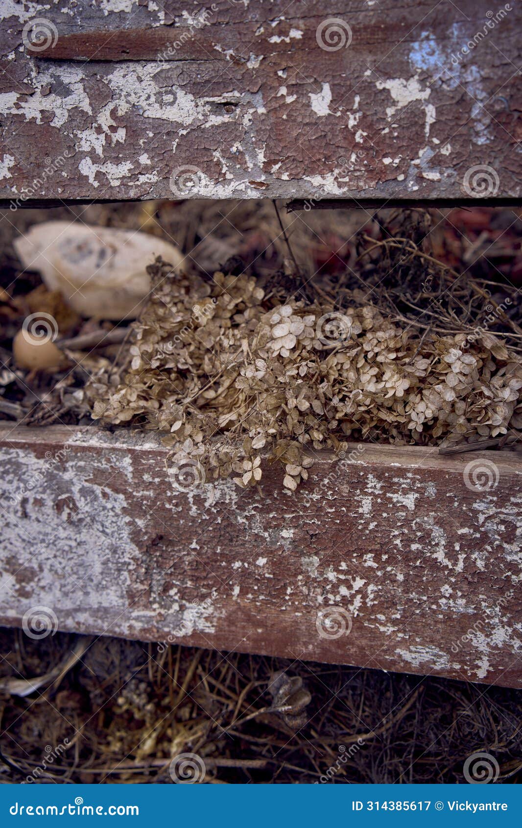 Compost Barrier, Home Processing of Organic Waste Stock Image - Image ...