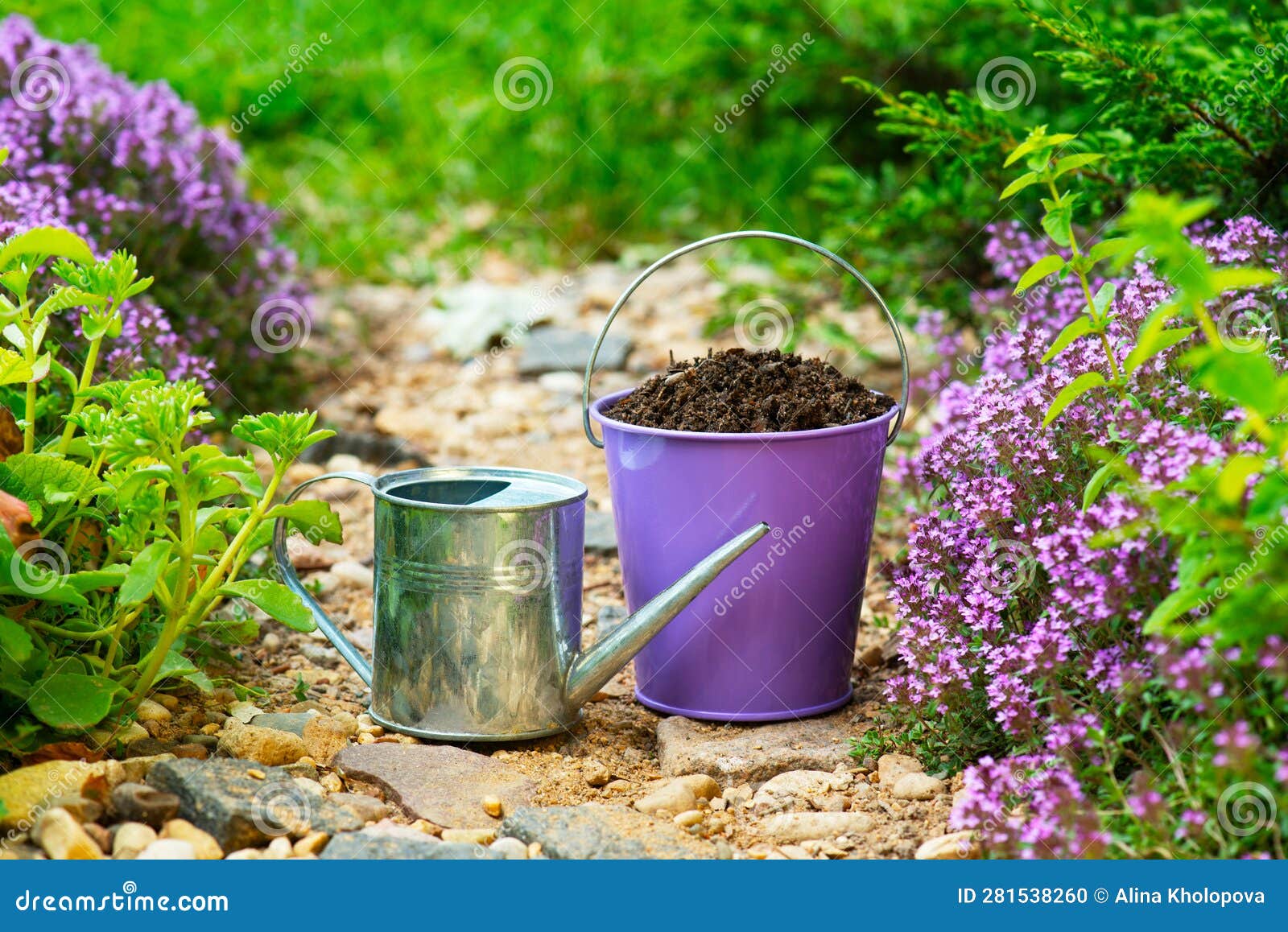 Compost in the Basket in the Garden, Concept of Composting Stock Photo ...