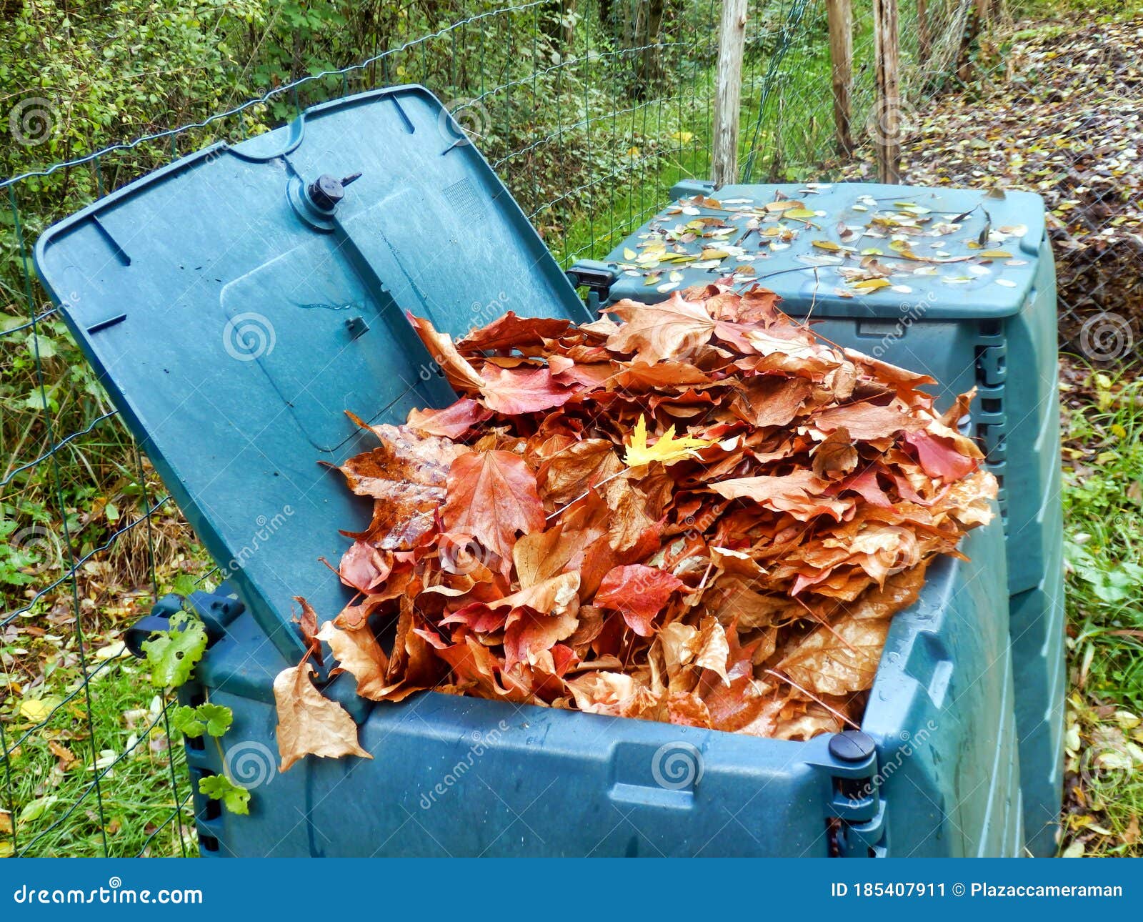 Leaves in compost bin stock image. Image of environmental - 185407911