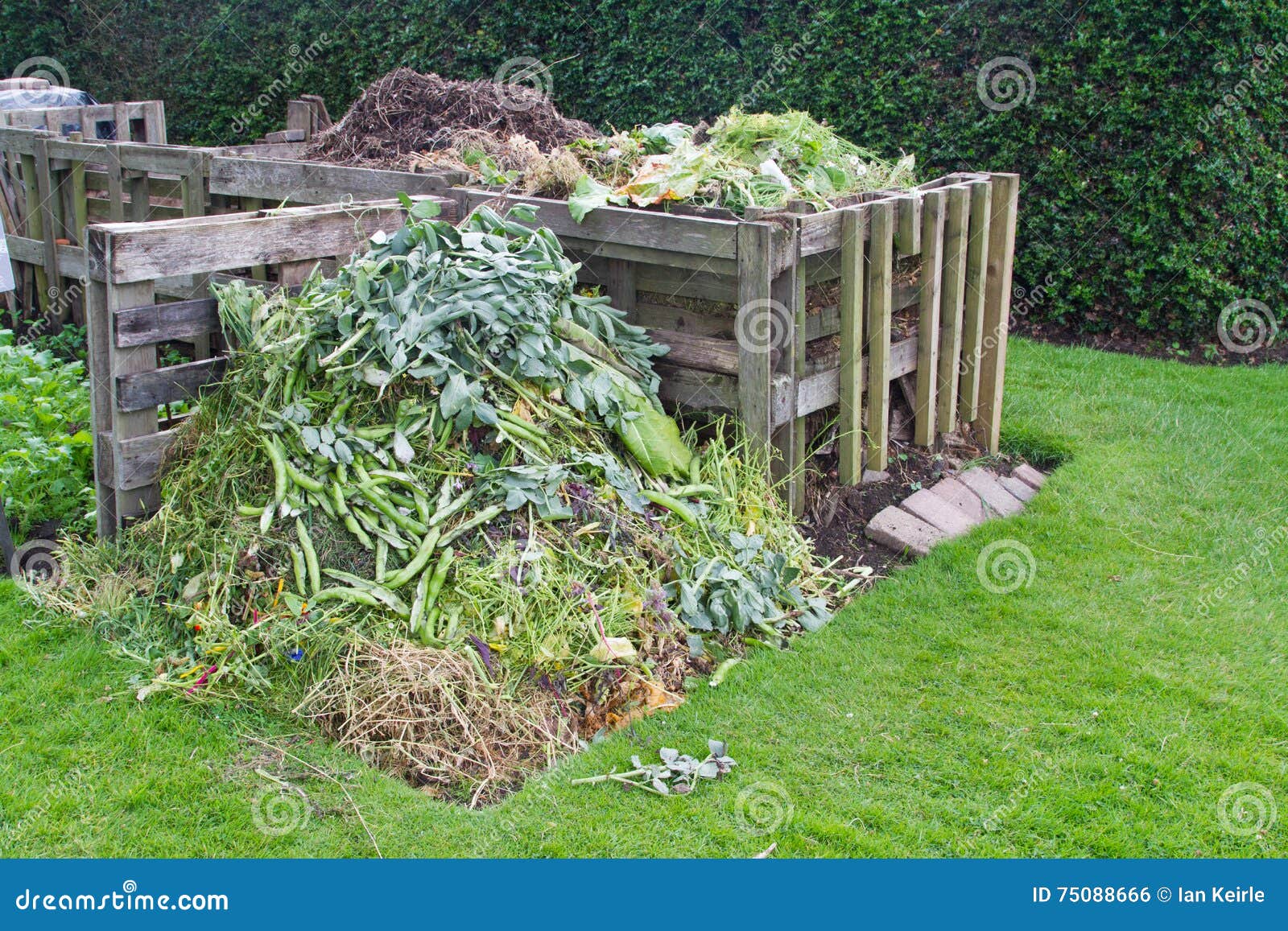 Compost bin stock photo. Image of gardening, nutrients - 75088666