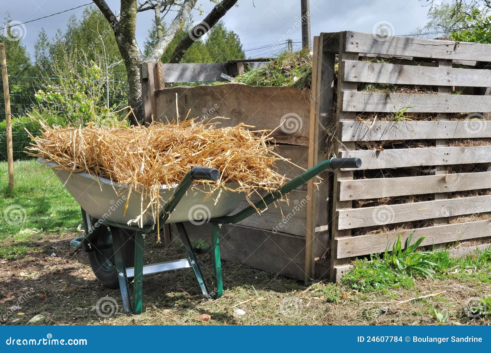 Compost Bin and Wheelbarrow Stock Photo - Image of recycle, fodder ...