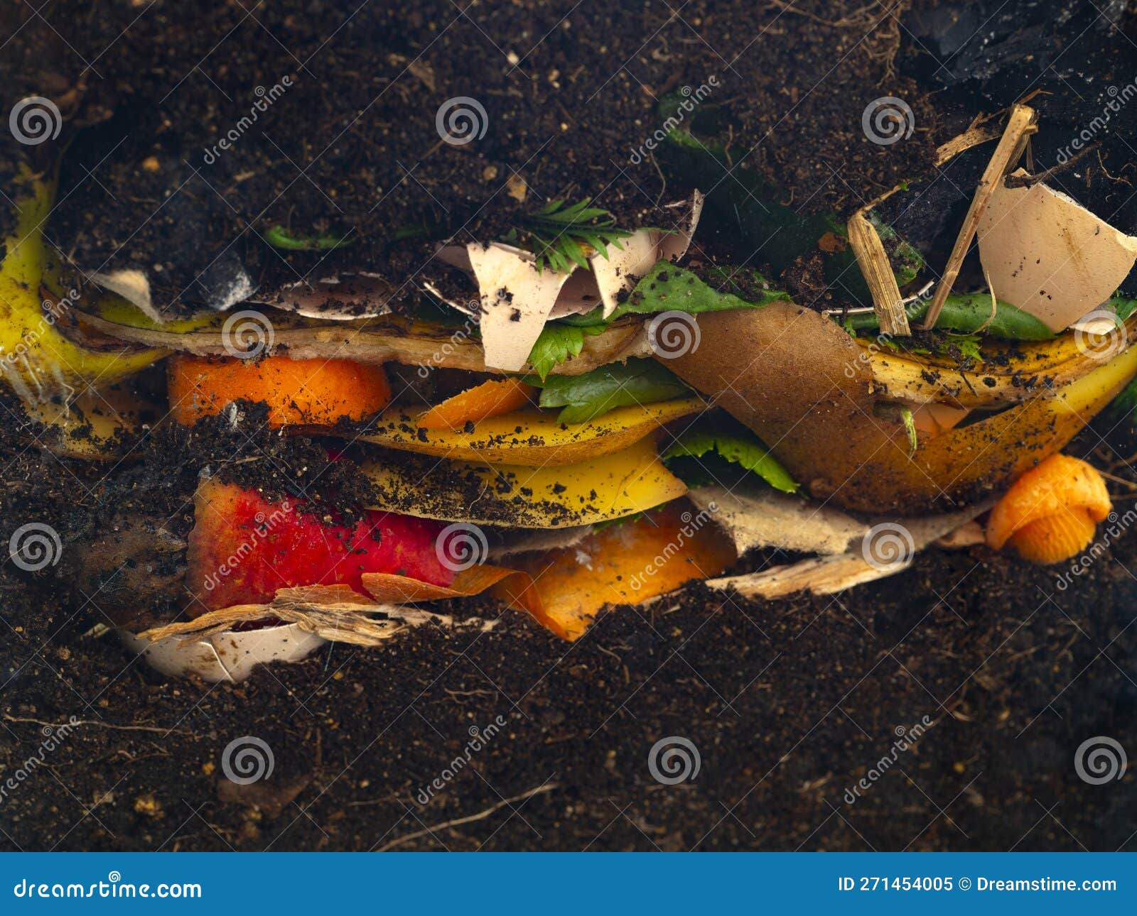 Compost - Biodegradable Kitchen Waste and Soil. Layers of Biowaste ...