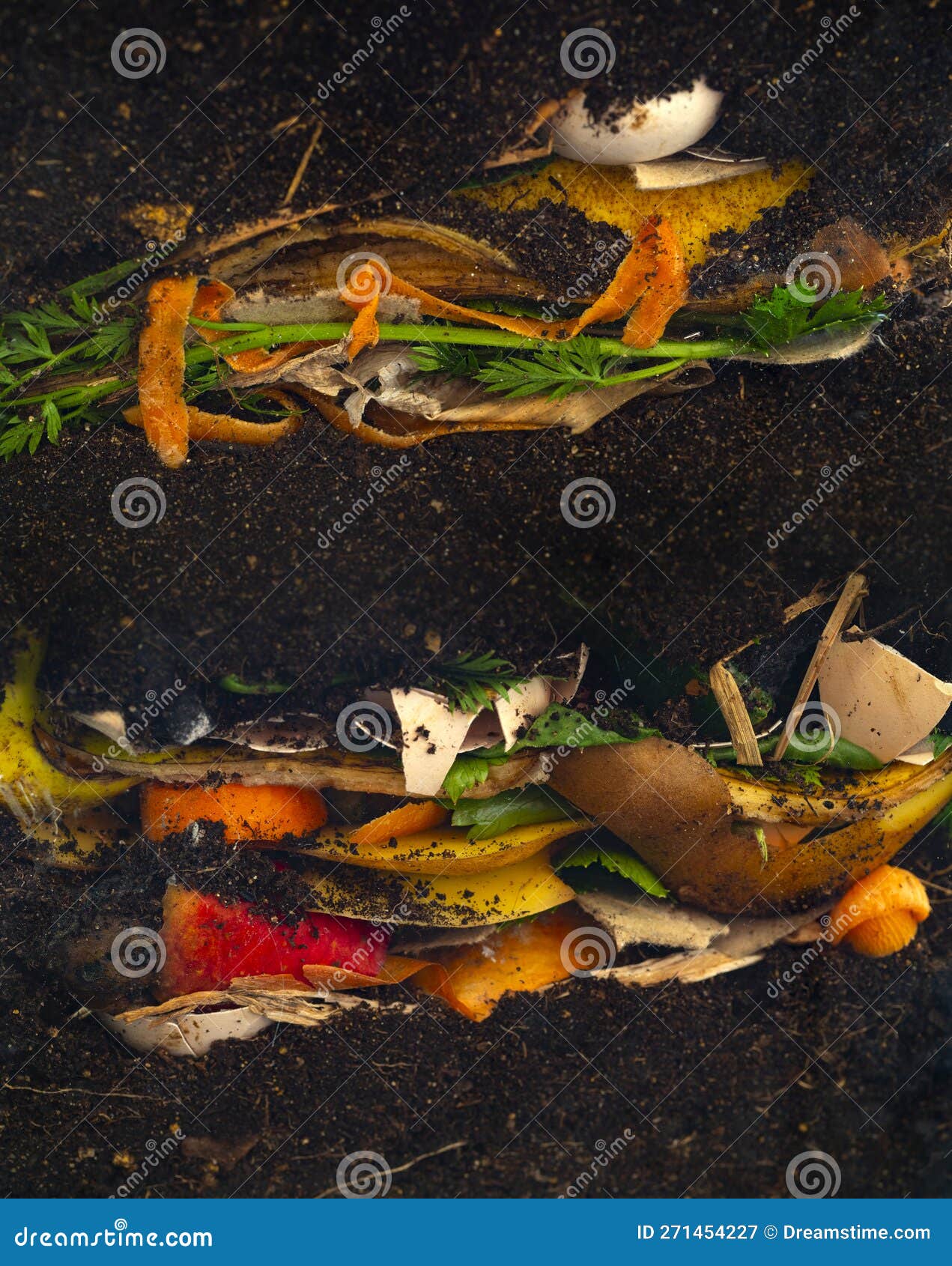 Compost - Biodegradable Kitchen Waste and Soil. Layers of Biowaste ...