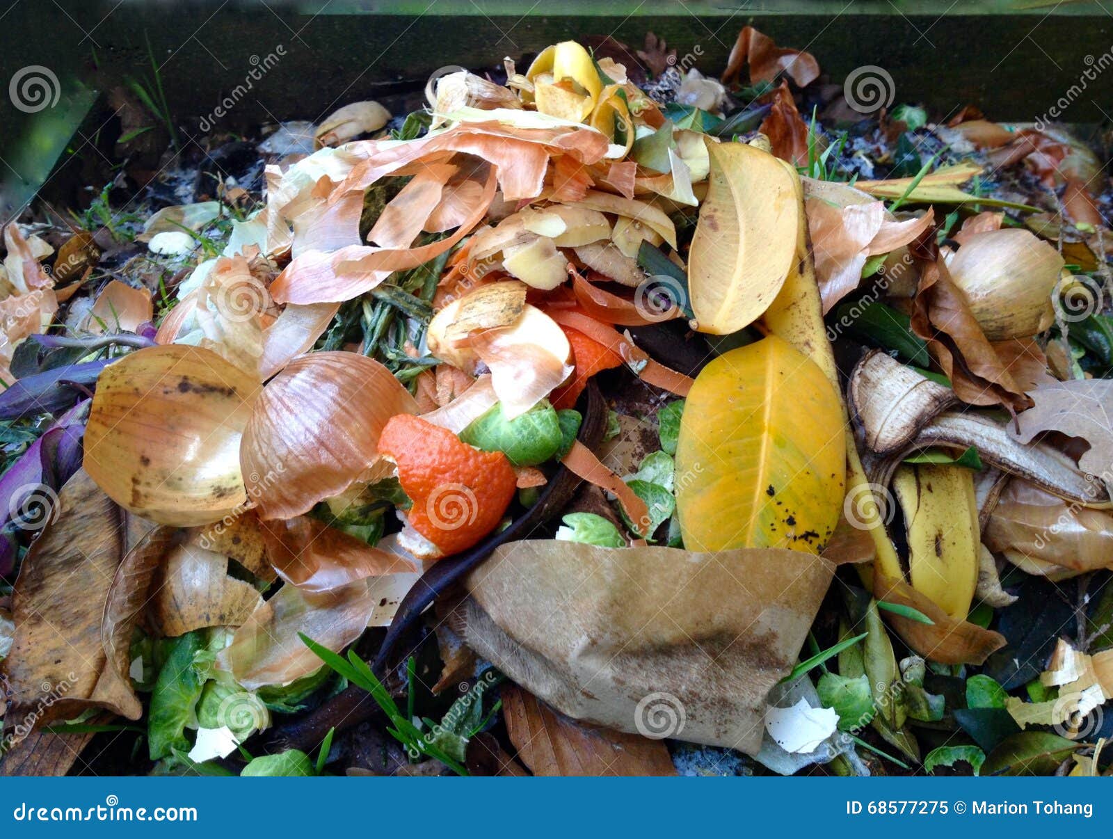 Compost/Biowaste stock image. Image of kitchen, composting - 68577275
