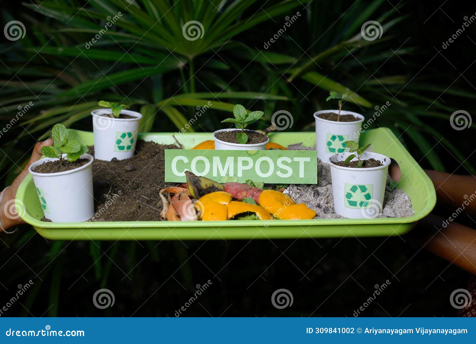 Compost and Composted Soil Recycle on Waste Paper Cups Stock Photo ...