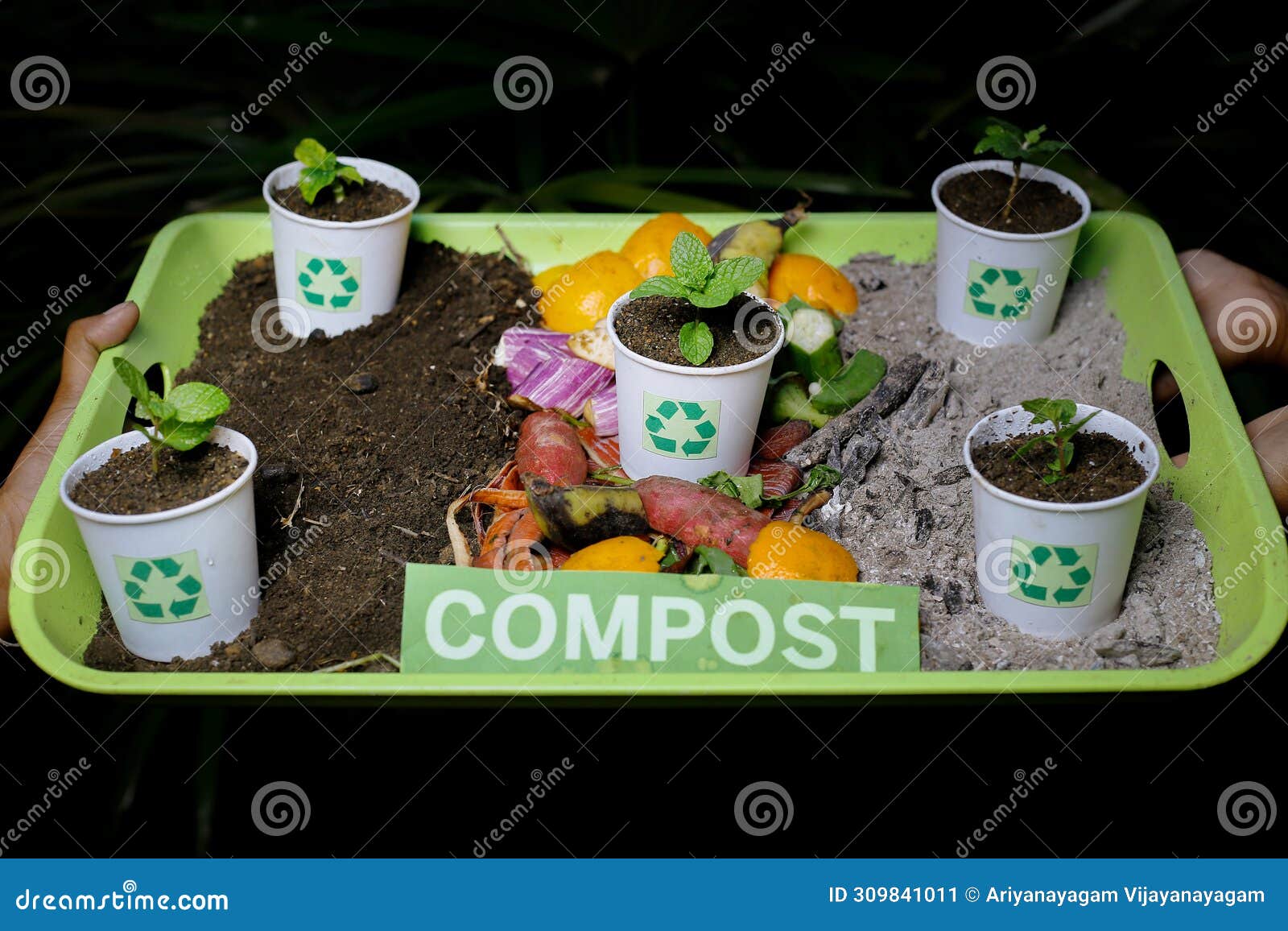 Compost and Composted Soil Recycle on Waste Paper Cups Stock Image ...