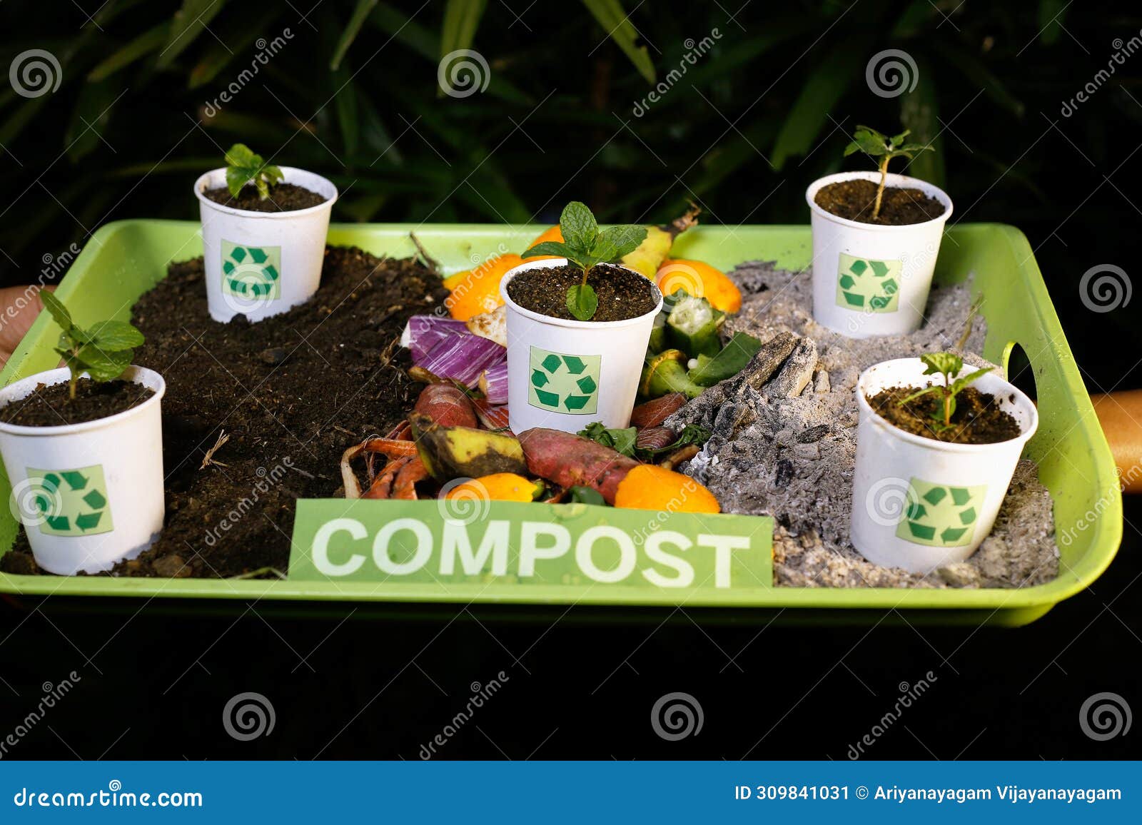 Compost and Composted Soil Recycle on Waste Paper Cups Stock Image ...