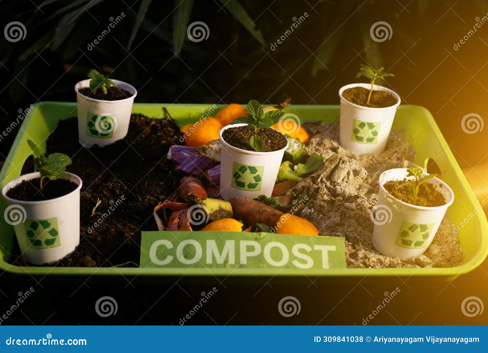Compost and Composted Soil Recycle on Waste Paper Cups Stock Photo ...