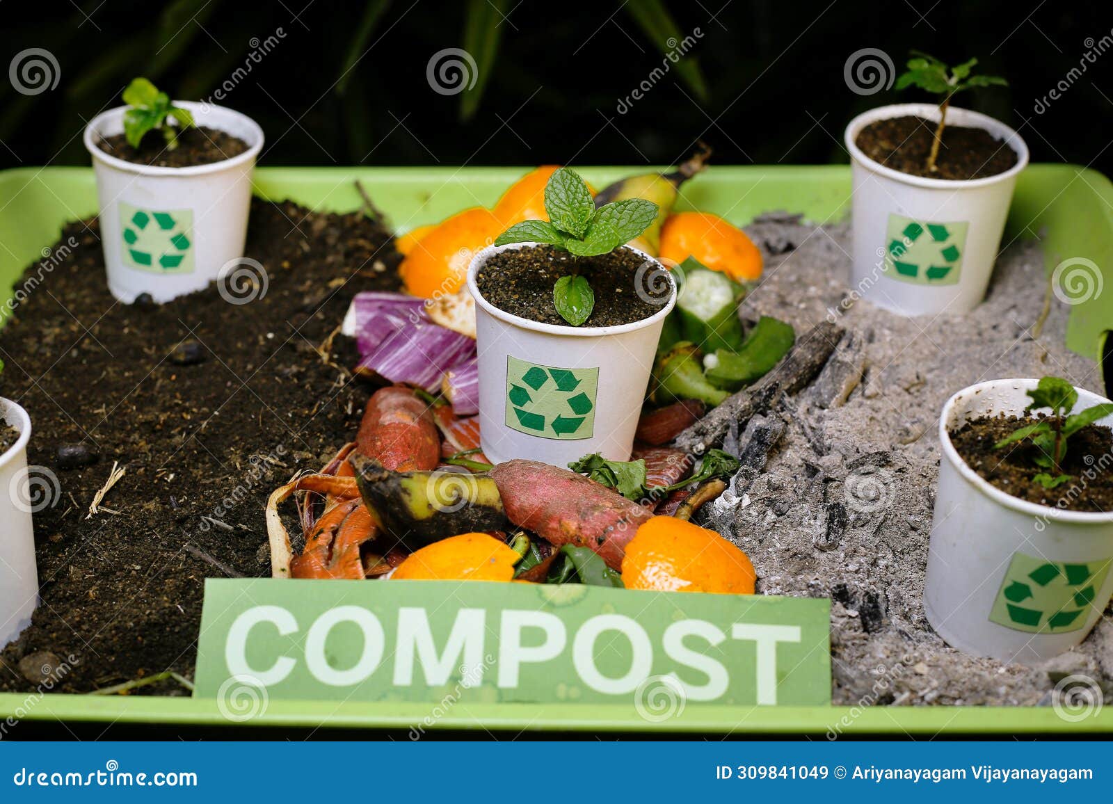 Compost and Composted Soil Recycle on Waste Paper Cups Stock Image ...