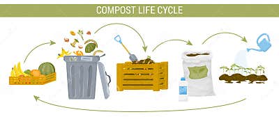Compost Composting Colored Flat Infographic Stock Vector - Illustration ...