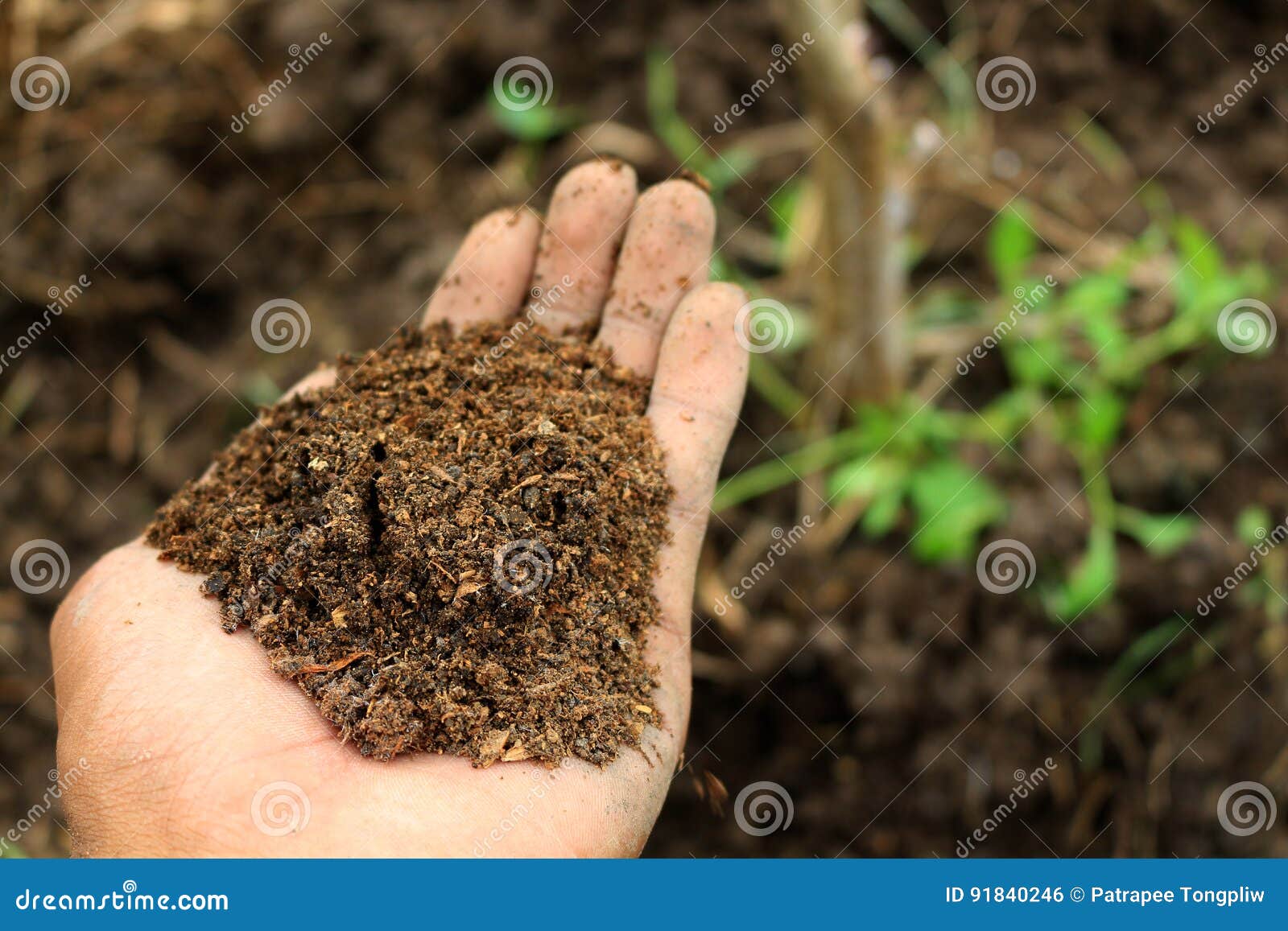 4,118 Compost Hand Photos - Free & Royalty-Free Stock Photos from ...