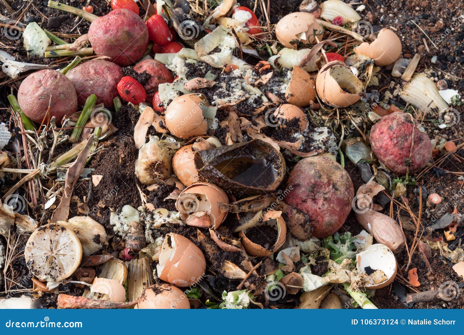 Compost Heap of Decaying Kitchen Fruit and Vegetable Scraps Stock Photo ...
