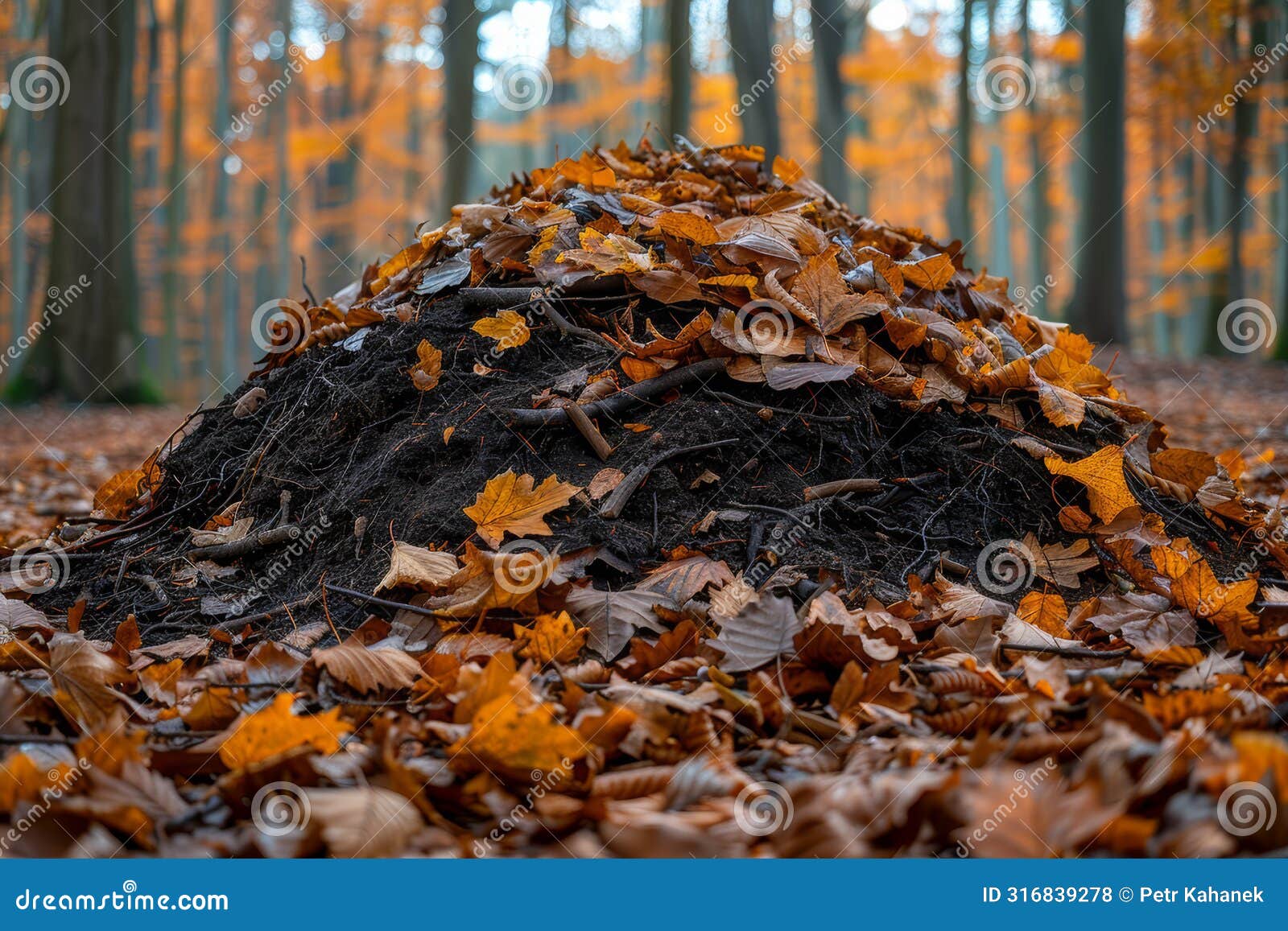 A Compost Heap Overflowing with Leaves and Organic Materials, in a ...