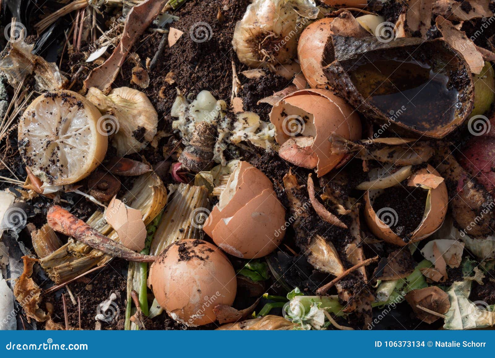 Compost Heap with Rotting Fruit, Vegetable, and Eggshell Scraps Stock ...