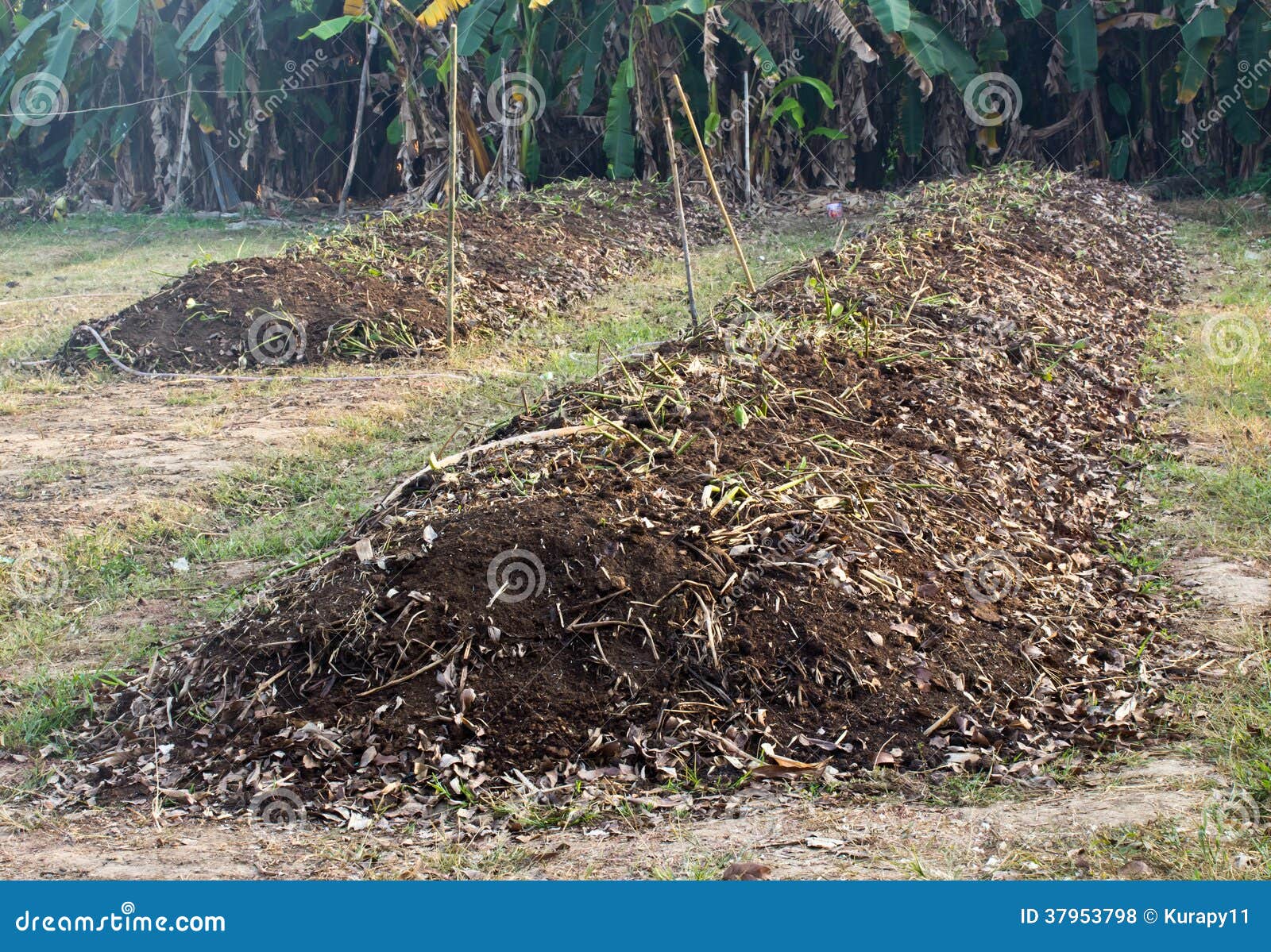 Compost, Organische Natuurlijke Bladeren. Stock Foto - Image of draaien ...