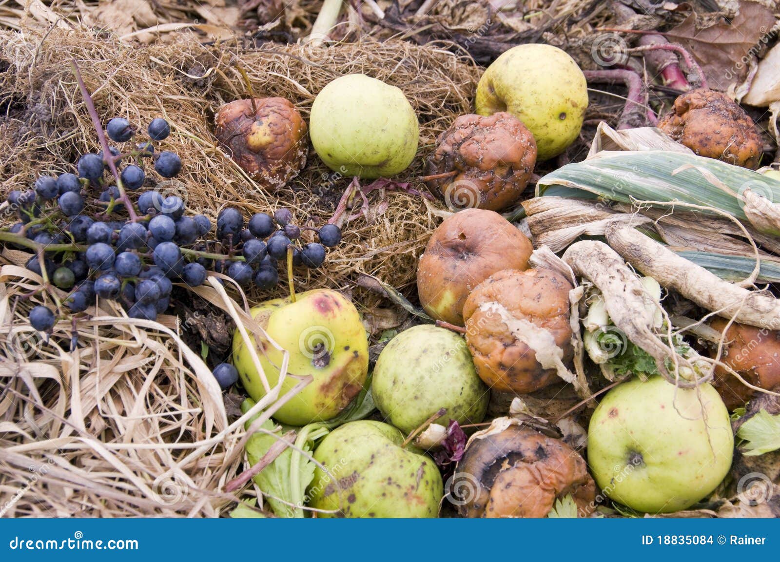 Compost Pile stock photo. Image of grapes, waste, green - 18835084