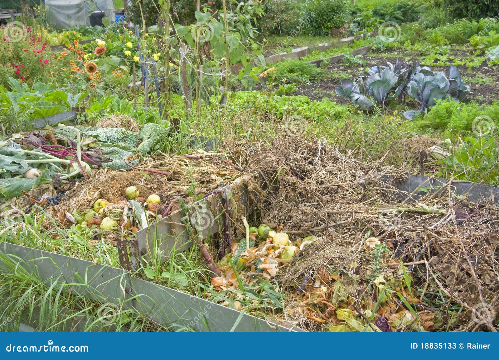 Compost Pile stock image. Image of remaining, wilt, decompose - 18835133