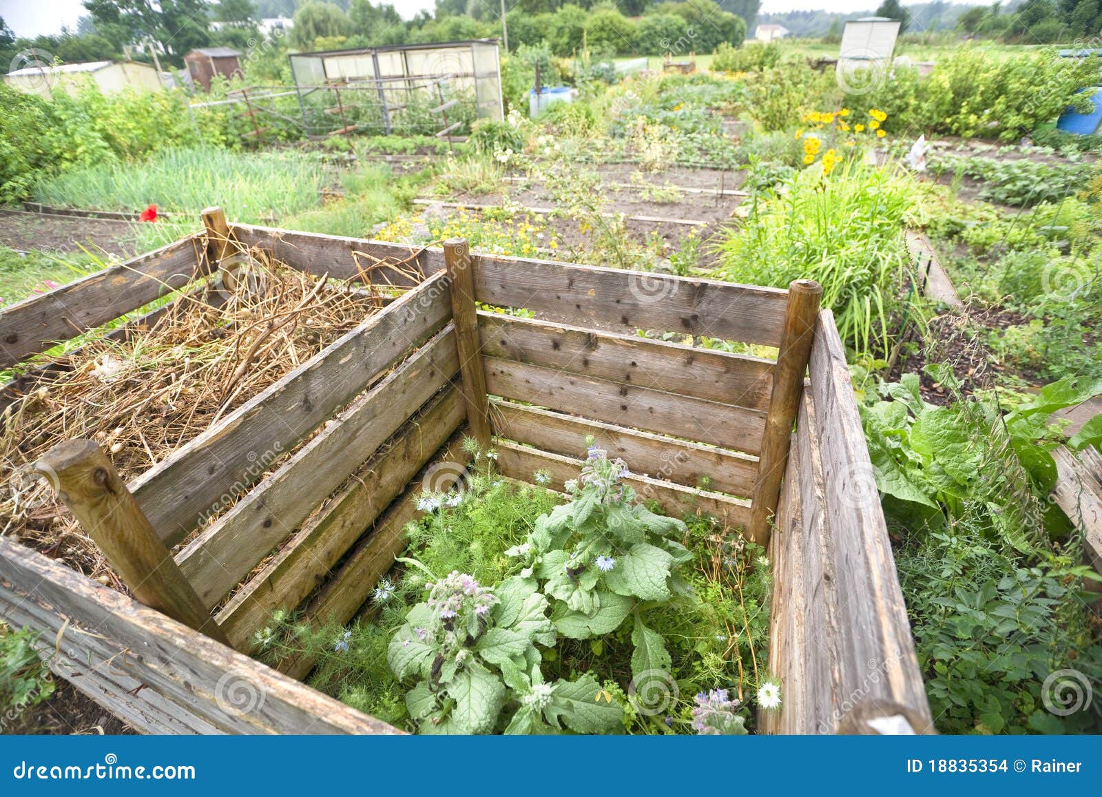 Compost Pile stock photo. Image of heap, decay, rotten - 18835354