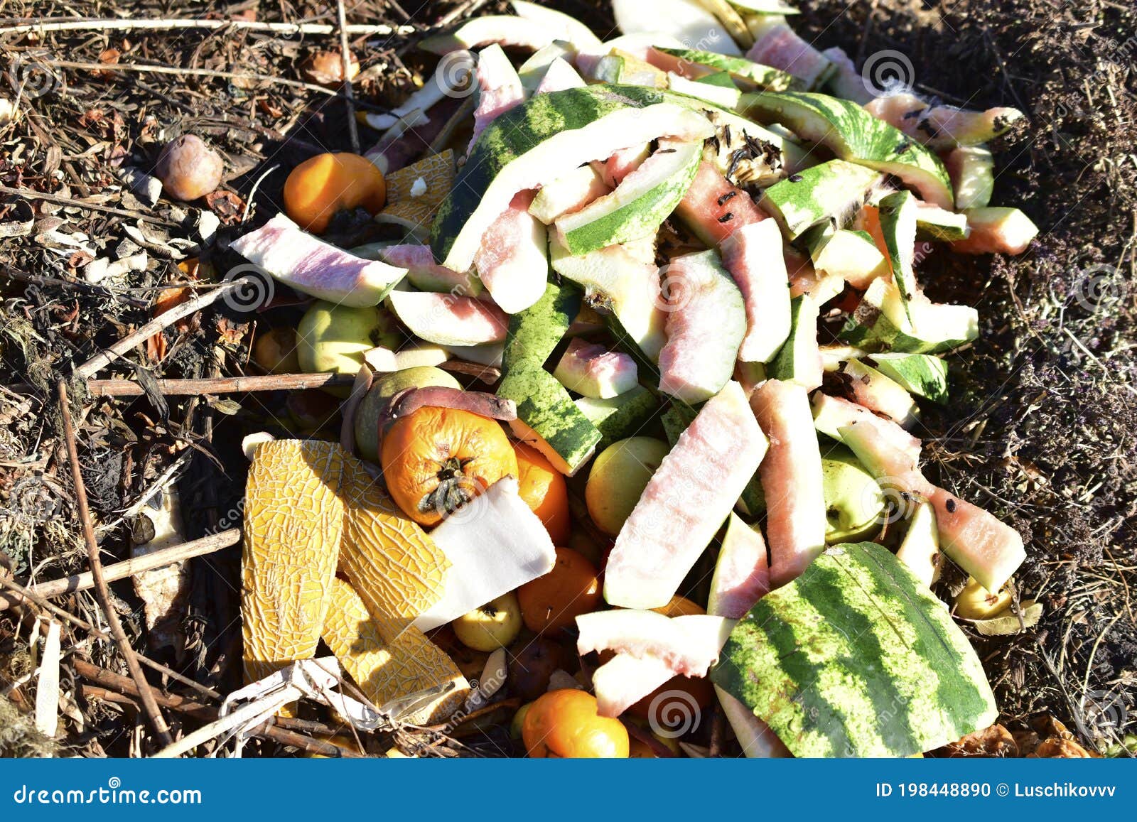 Compost Pile of Dried Grass and Watermelon and Melon Crusts Stock Photo ...