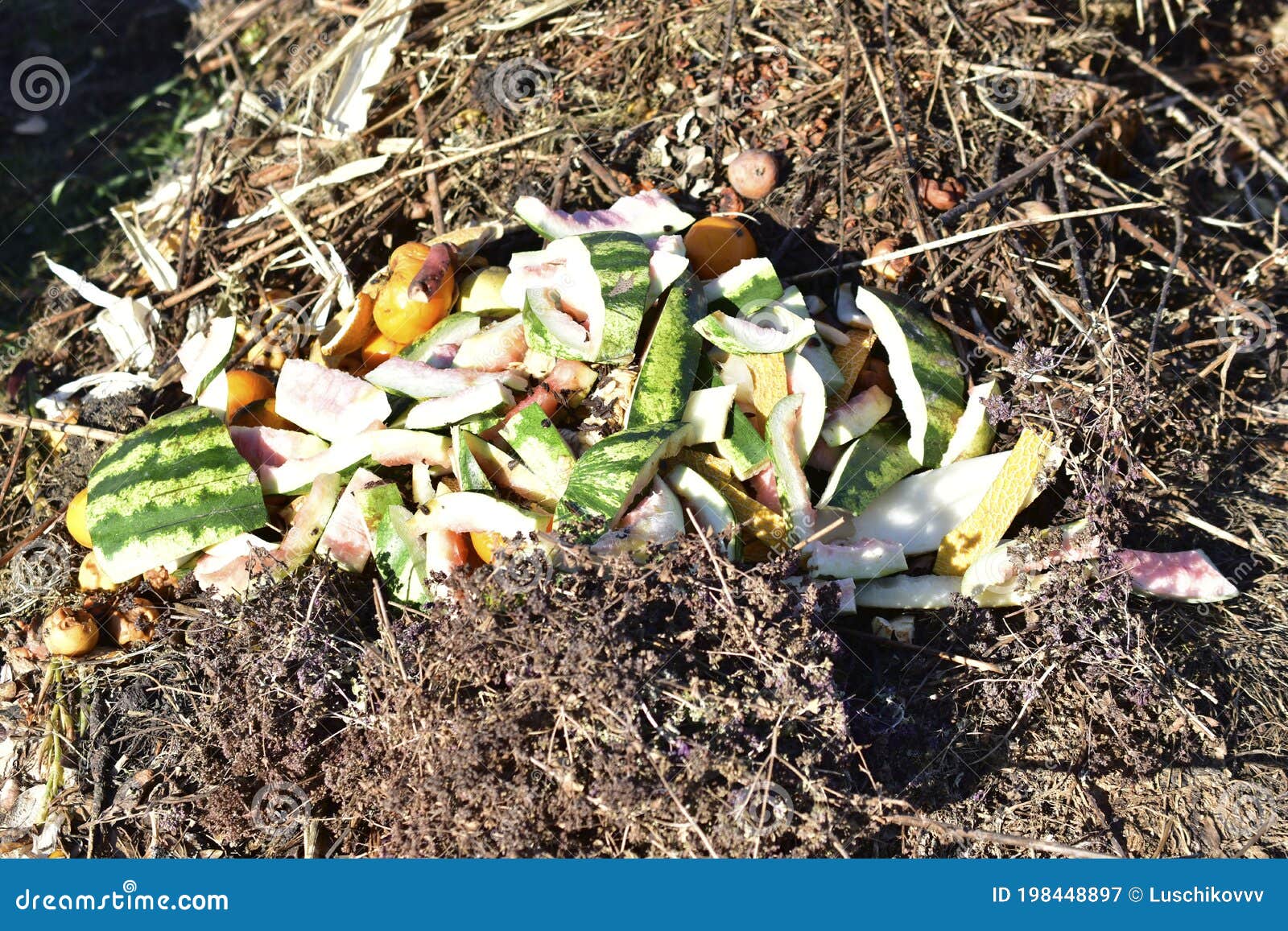 Compost Pile of Dried Grass and Watermelon and Melon Crusts Stock Image ...