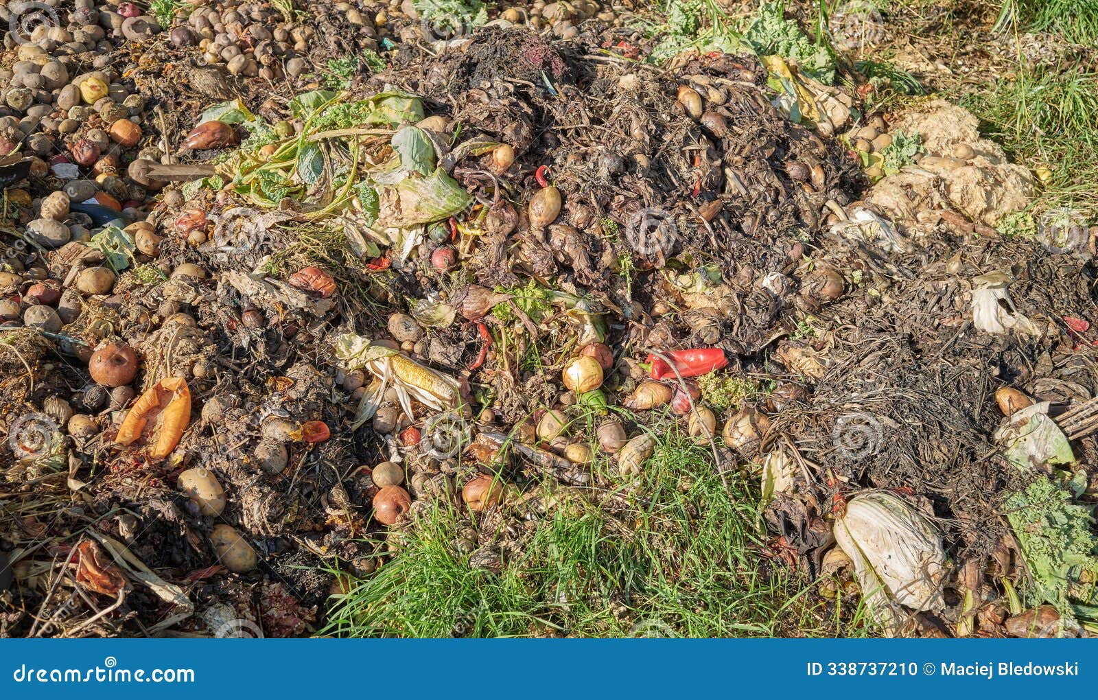 Compost Pile Made of Organic Vegetable and Fruit Waste Mix Stock Photo ...