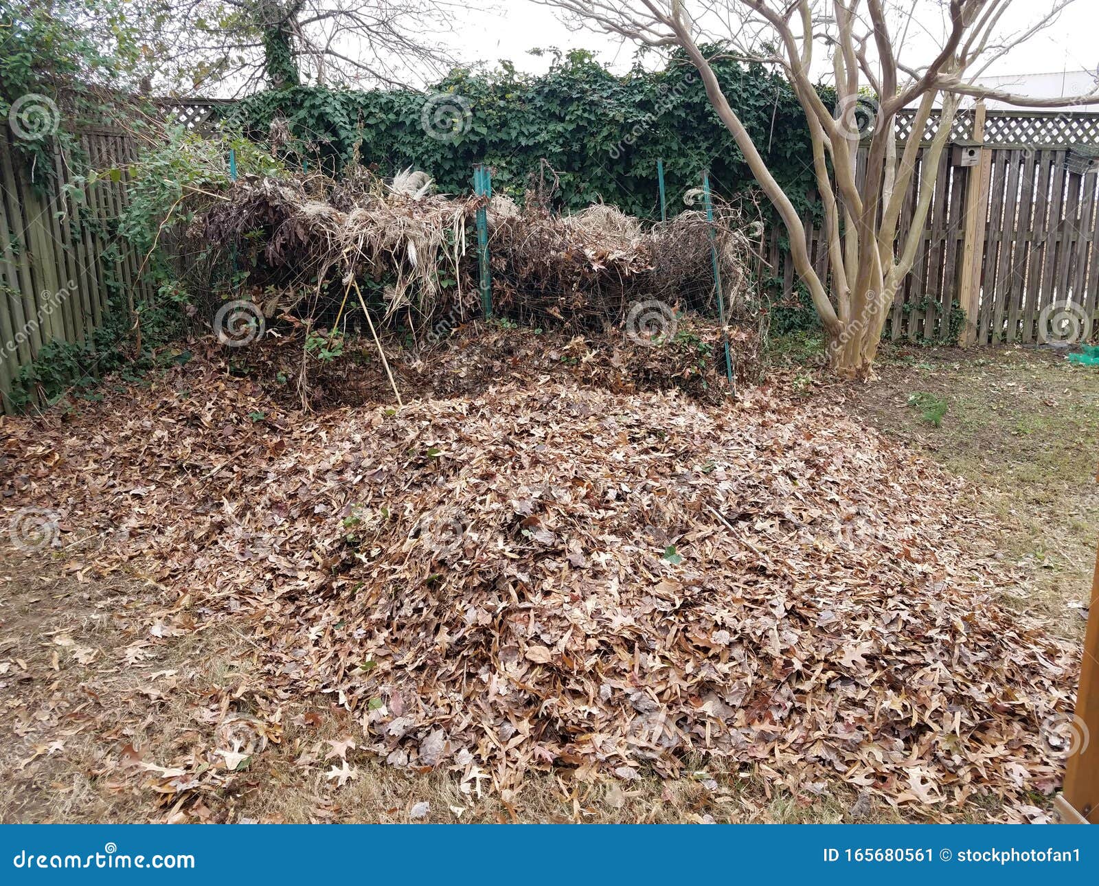 Compost Pile or Mound with Fallen Brown Leaves 库存图片 - 图片 包括有 秋天, 室外 ...