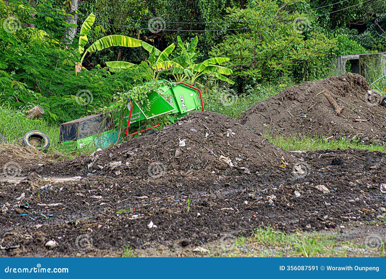 Soil Microorganisms In A Soil Sample, Soil Fungus And Bacteria On A ...