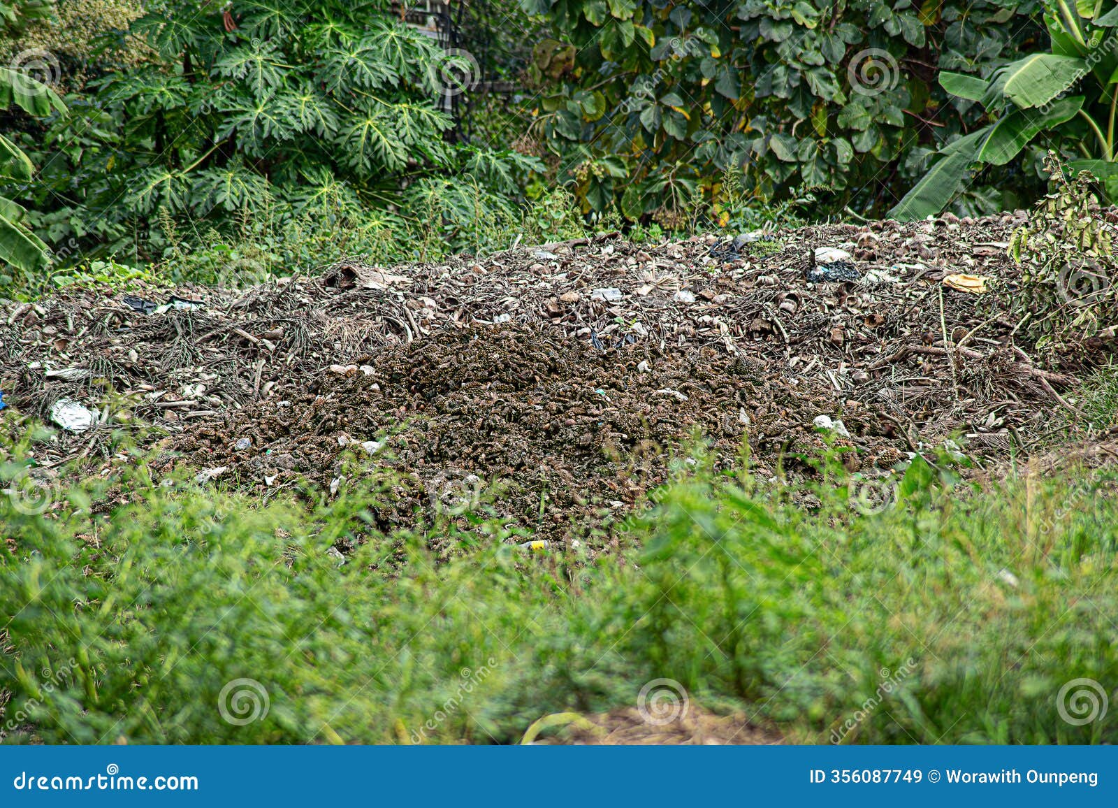 Compost Piles are Full of Soil Microorganisms. Farming is Done Using ...