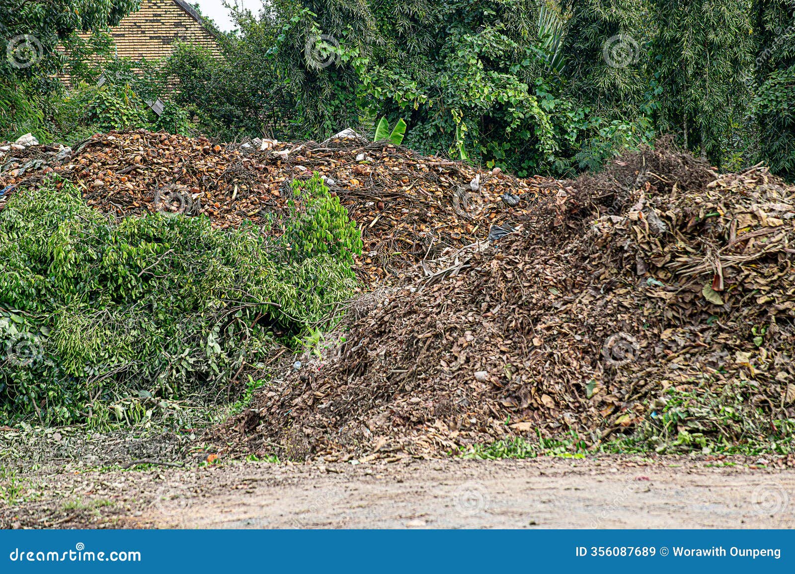 Compost Piles are Full of Soil Microorganisms. Farming is Done Using ...