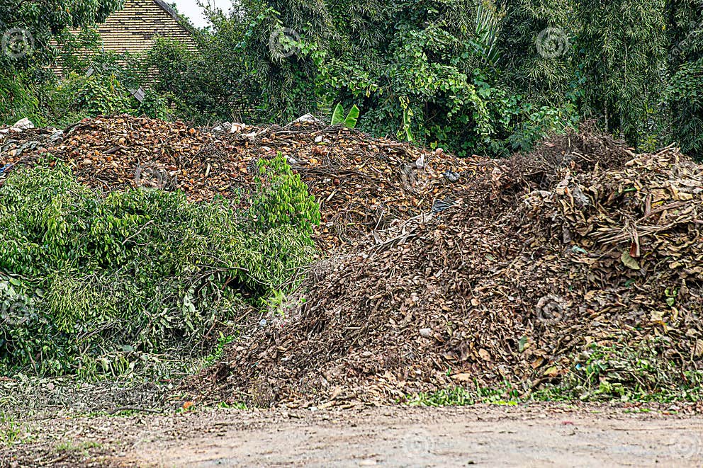 Compost Piles are Full of Soil Microorganisms. Farming is Done Using ...