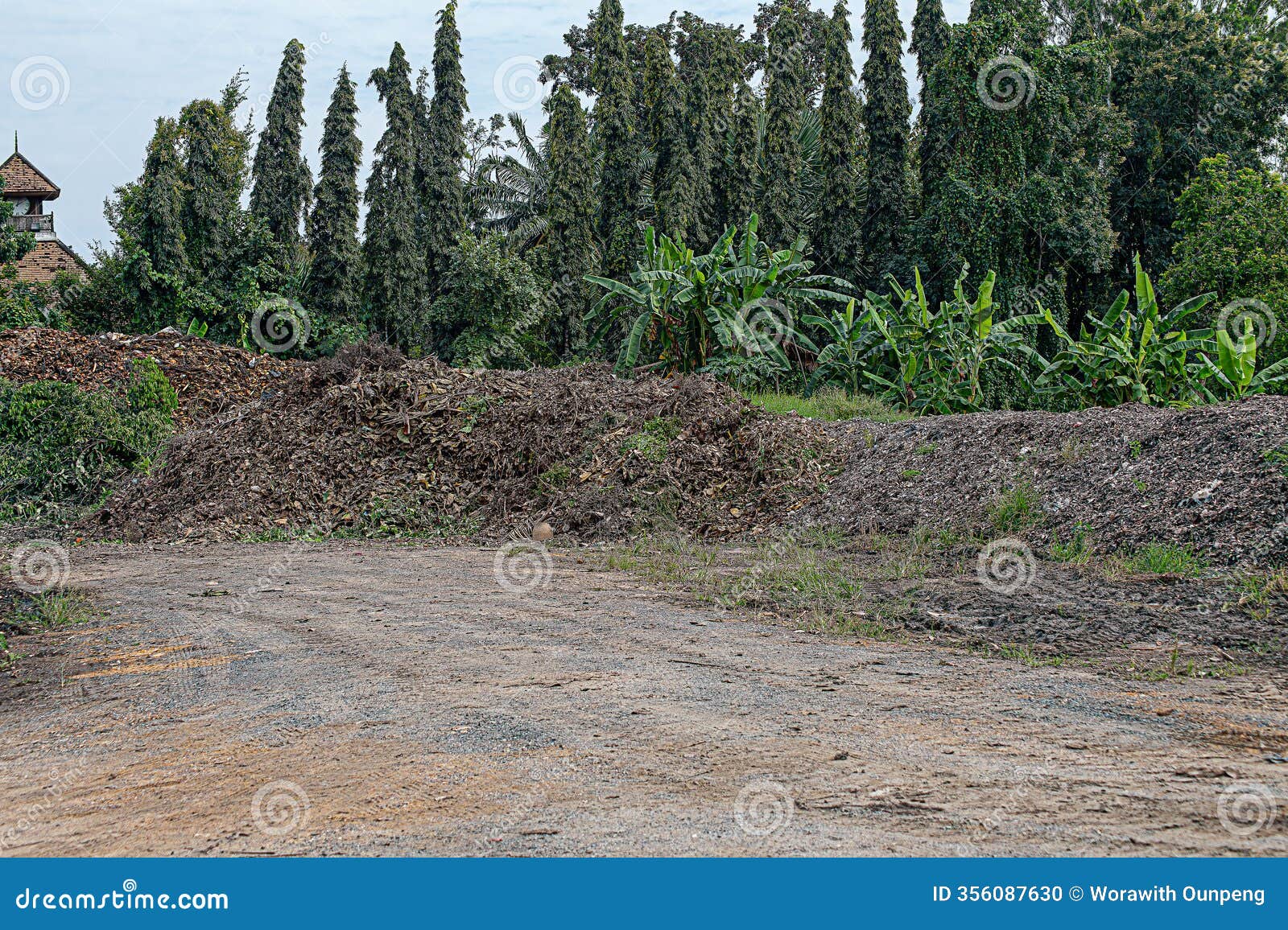 Soil Microorganisms Including Nematode, Microarthropods, Micro ...