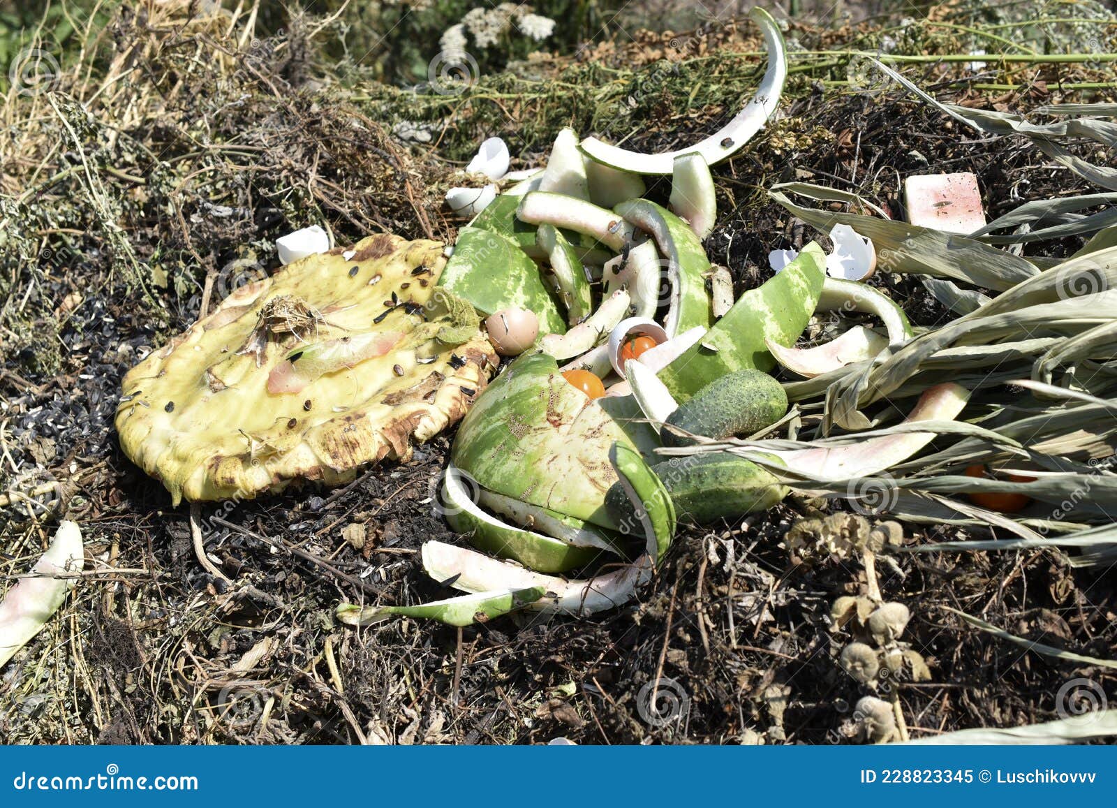 Compost Pit with Rotting Vegetables in the Garden Stock Image - Image ...
