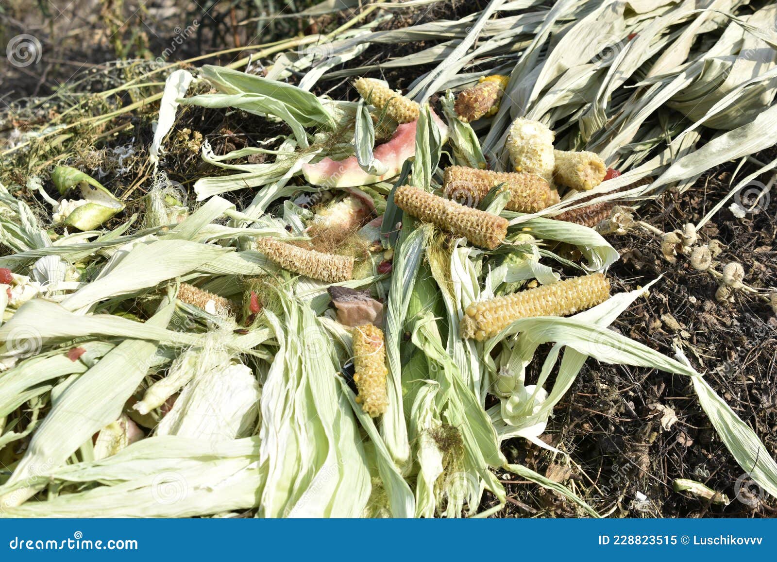 Compost Pit with Rotting Vegetables in the Garden Stock Image - Image ...