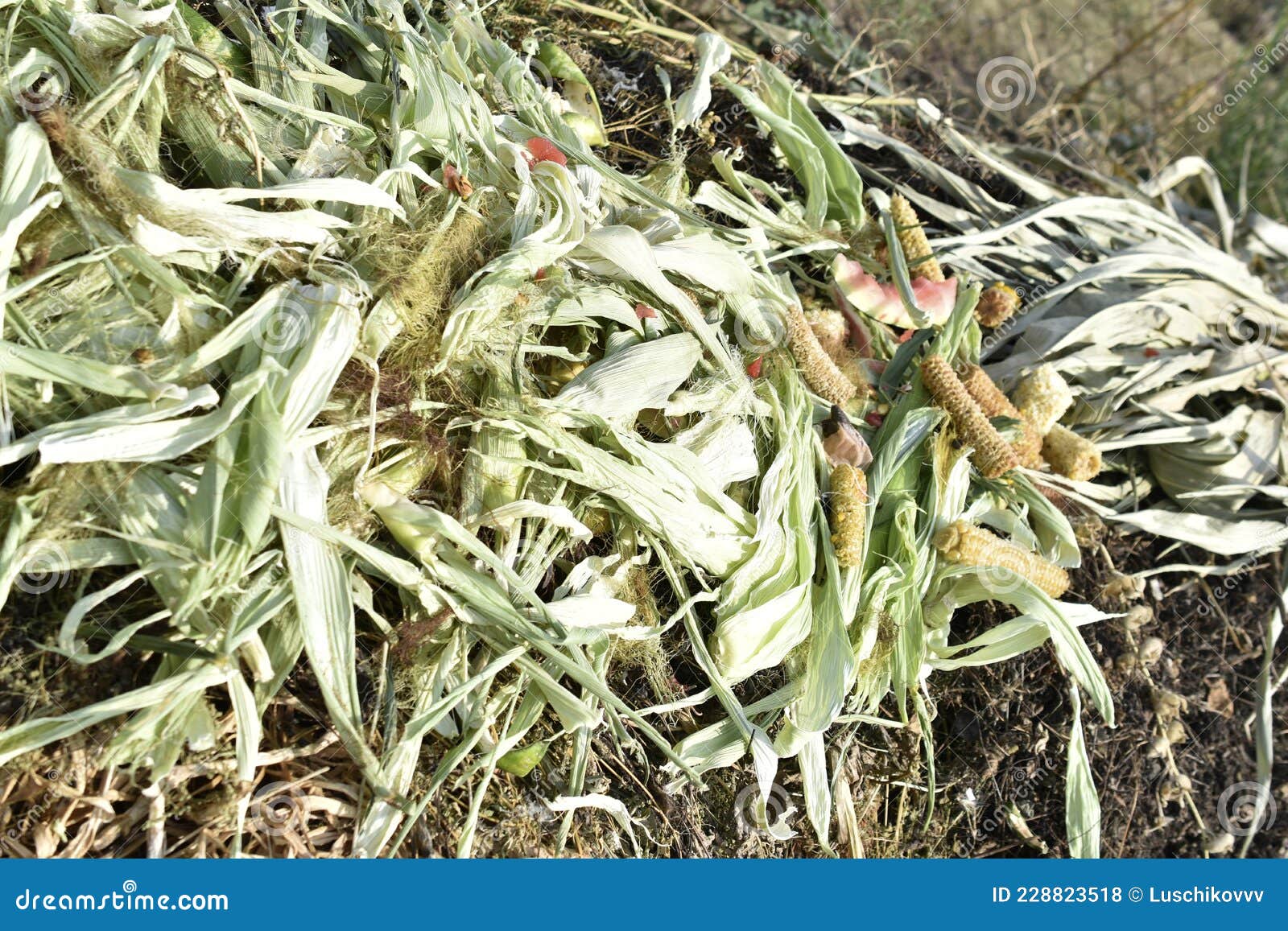 Compost Pit with Rotting Vegetables in the Garden Stock Photo - Image ...