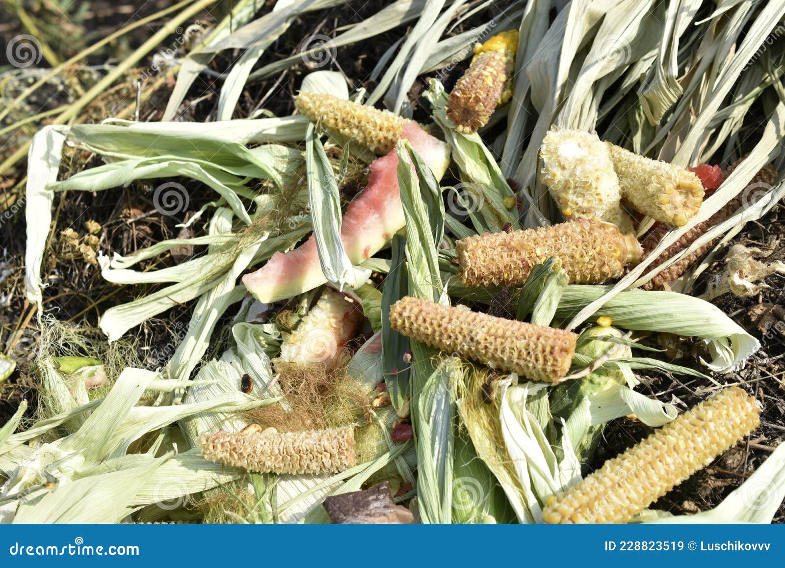 Compost Pit with Rotting Vegetables in the Garden Stock Image - Image ...