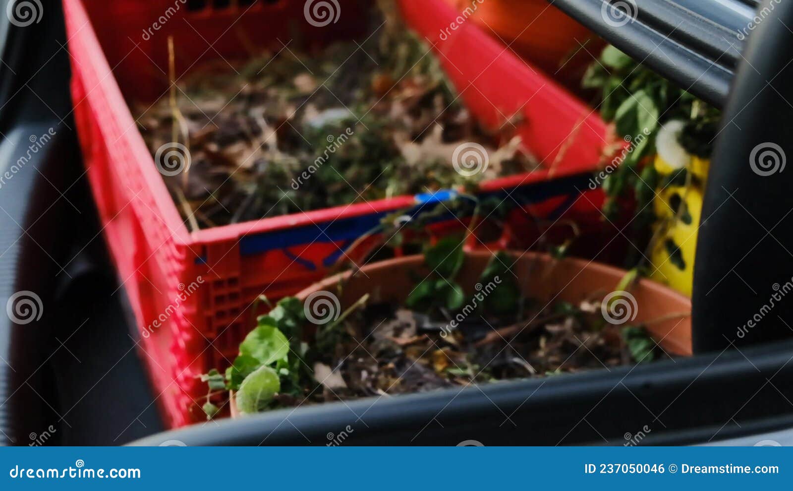 Compost.set of Containers with Leaves, Vegetable Waste in the Trunk of ...
