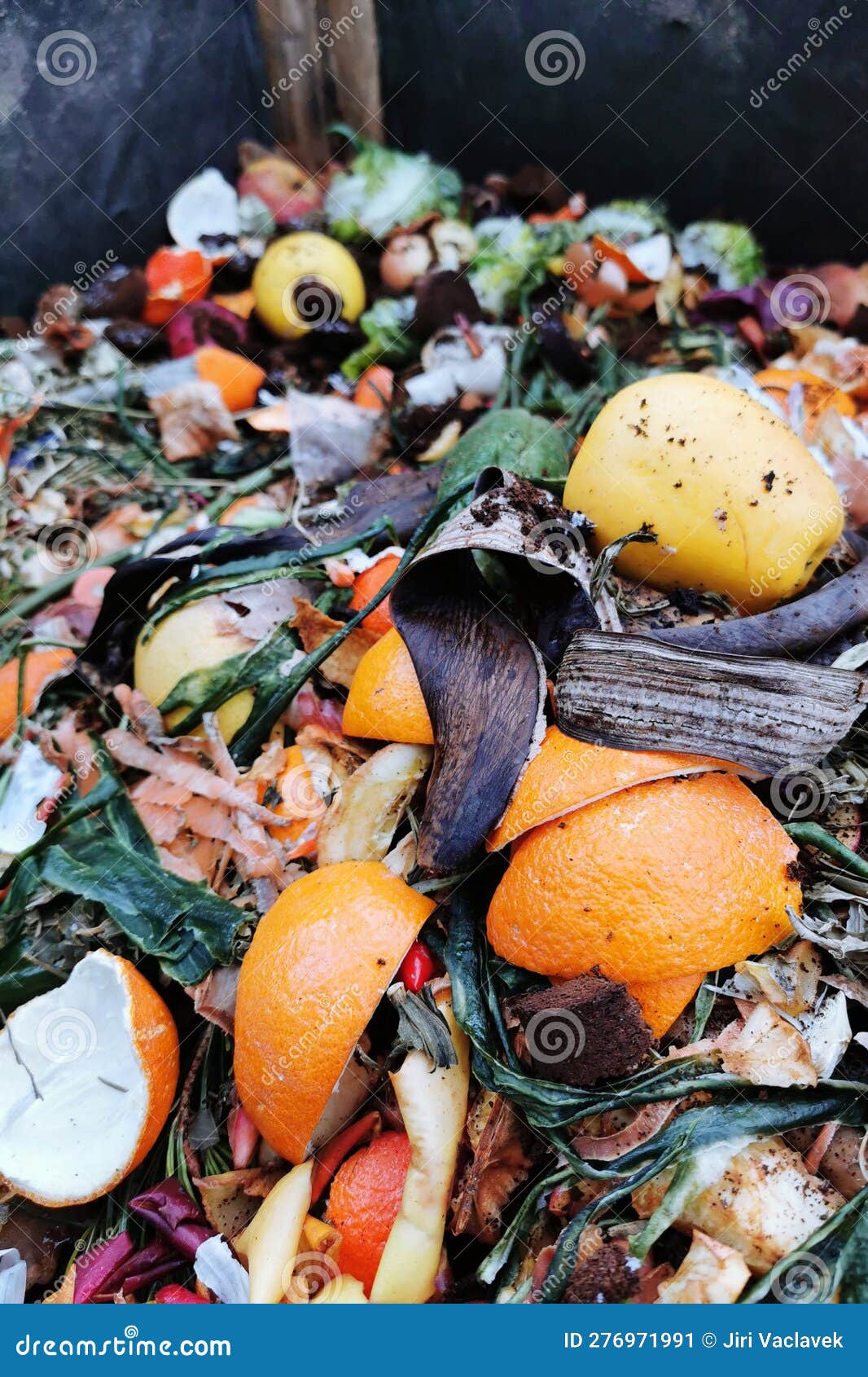 Compost Texture from Household Waste Stock Image - Image of nature ...