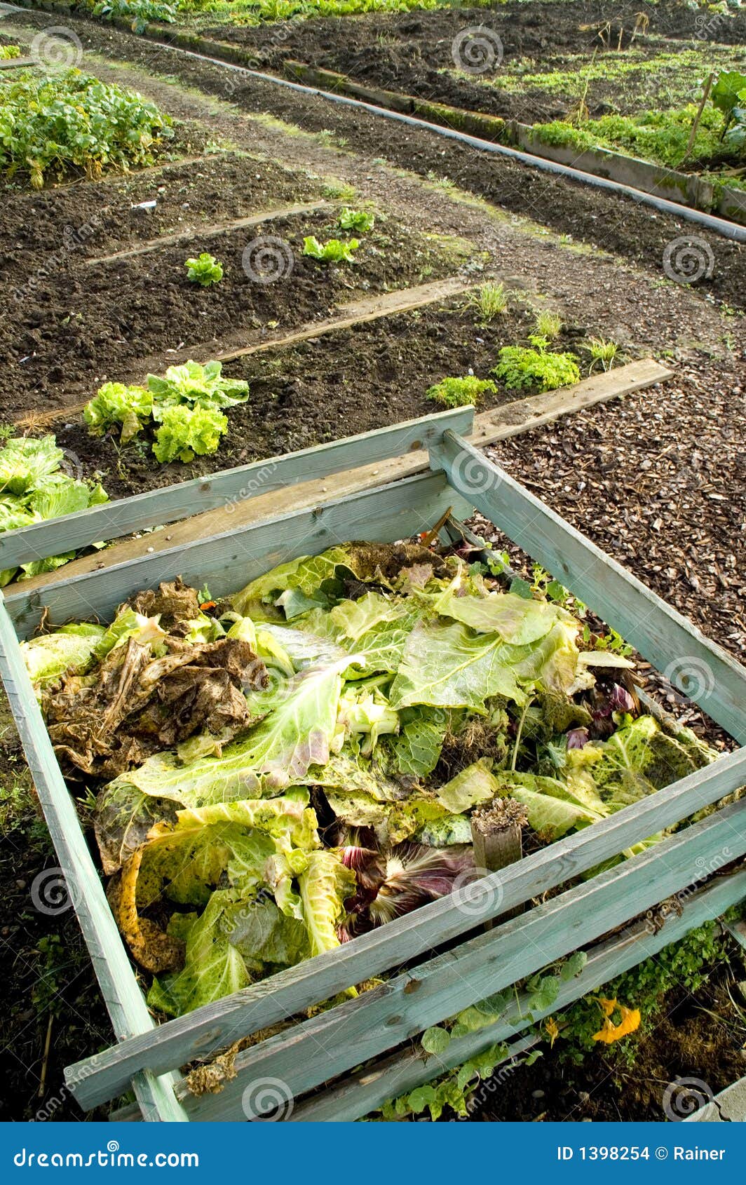 Composting stock photo. Image of home, ecological, leaf - 1398254