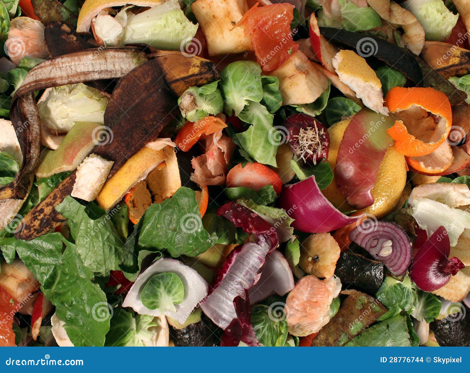 Composting stock photo. Image of household, homemade - 28776744