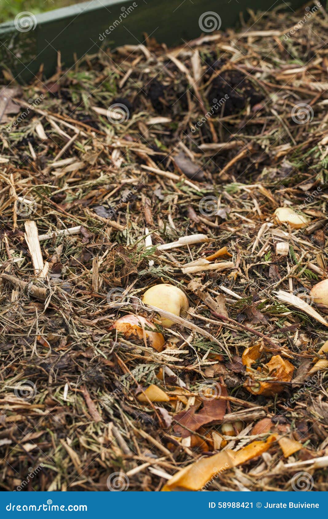 Composting stock image. Image of garden, decomposed, composting - 58988421