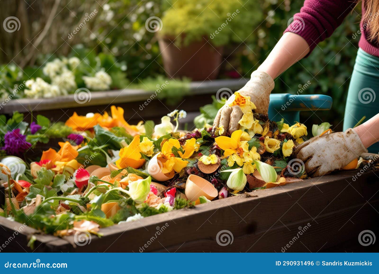Composting. Food Waste And Leftovers Biodegradation. Compost Box ...