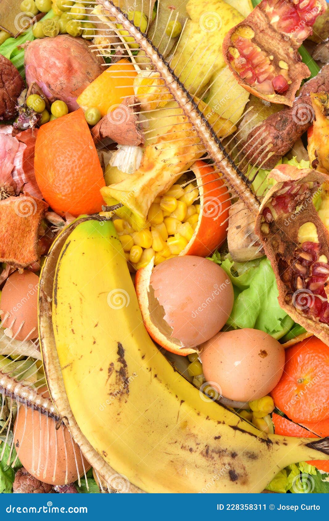 Composting Fruits, Vegetables, Fish Stock Image - Image of environment ...
