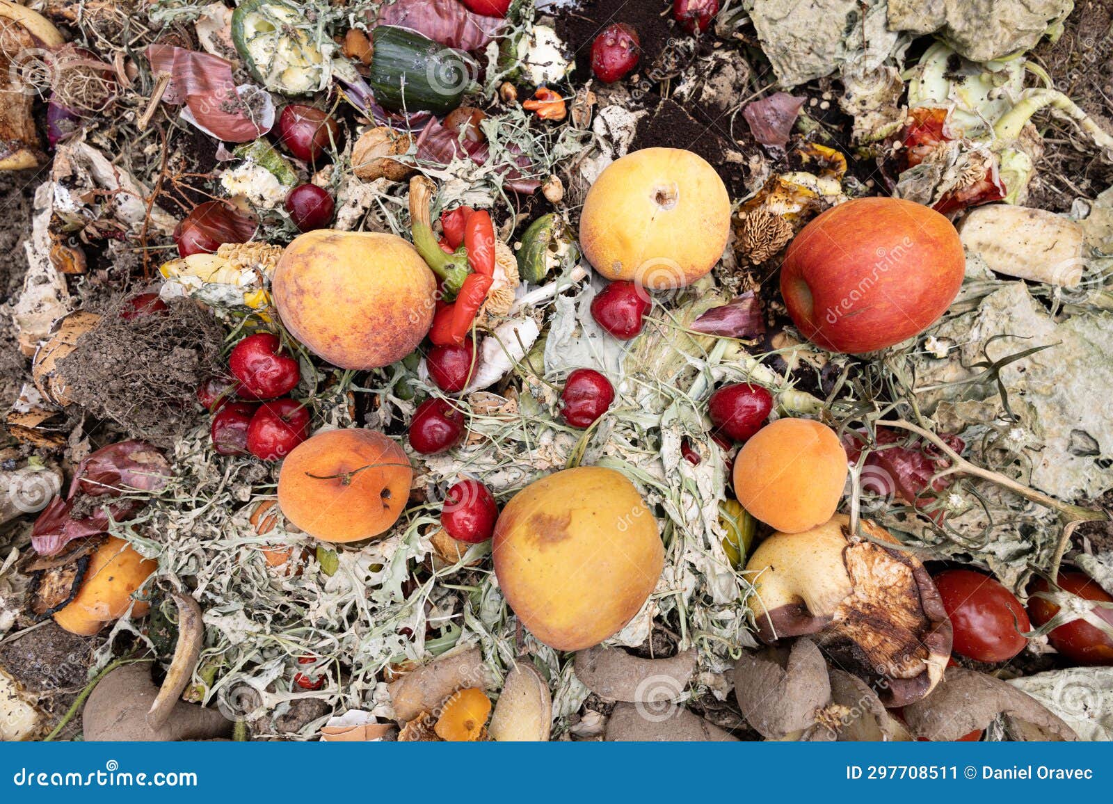 Composting on Garden - Compost Detail Stock Image - Image of ecosystem ...