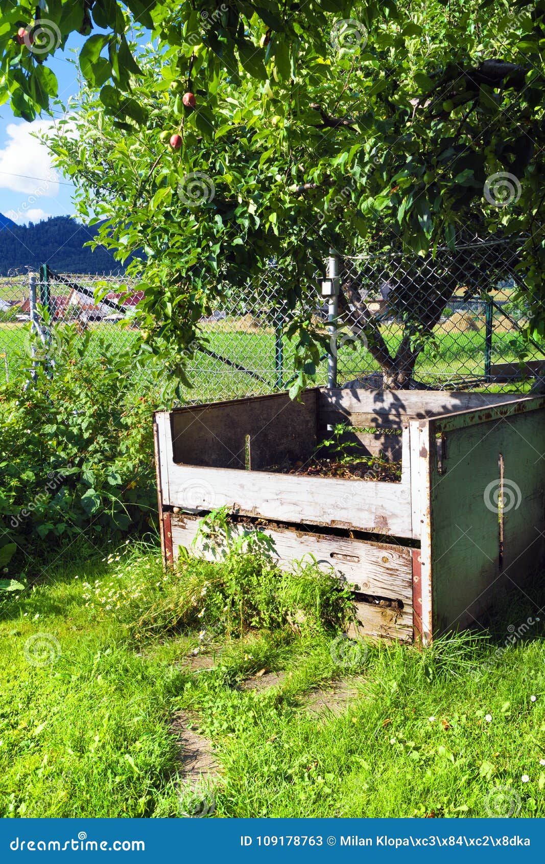 Composting in the Garden Under the Tree. Stock Image - Image of heat ...
