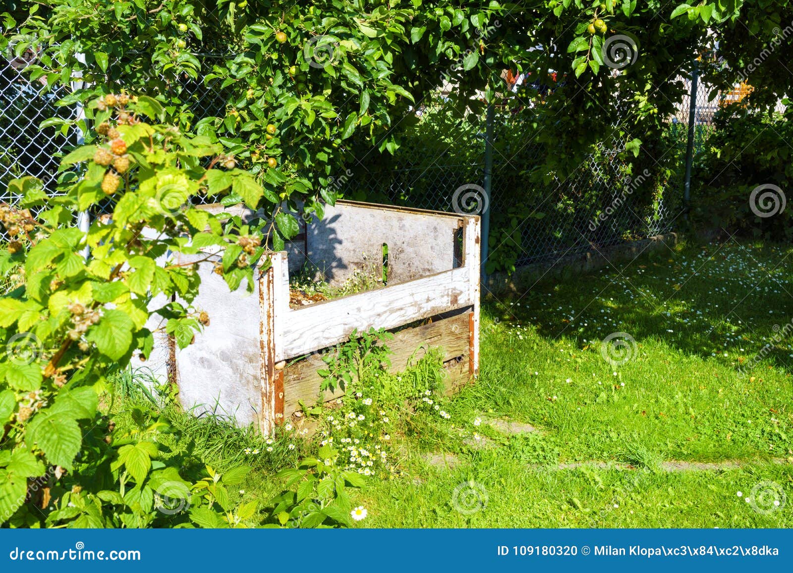 Composting in the Garden Under the Tree. Stock Photo - Image of organic ...