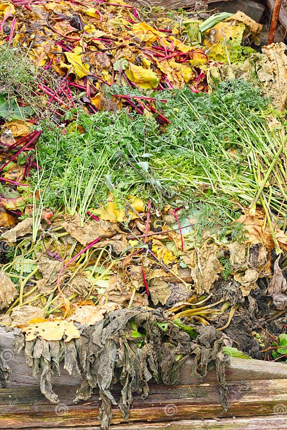Composting Heap stock image. Image of compost, nature - 16125741